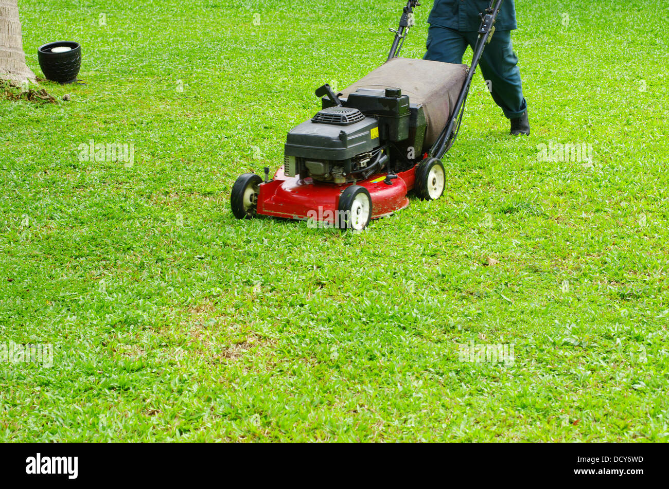 mowing the lawn Stock Photo - Alamy