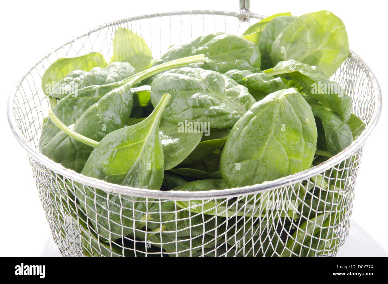young fresh spinach in a metal sieve after washing Stock Photo - Alamy