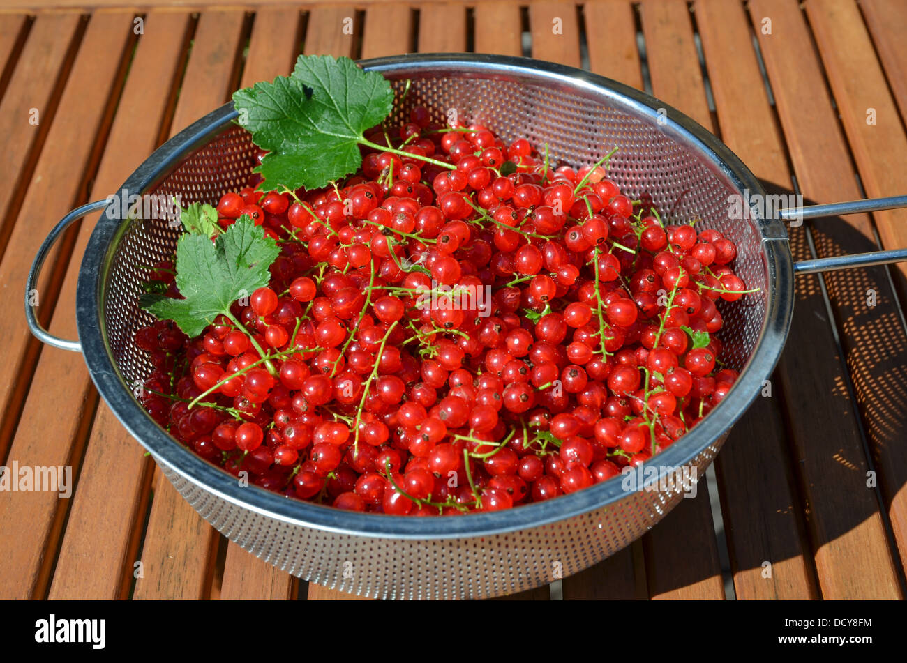 Currants food natural fresh hi-res stock photography and images - Alamy