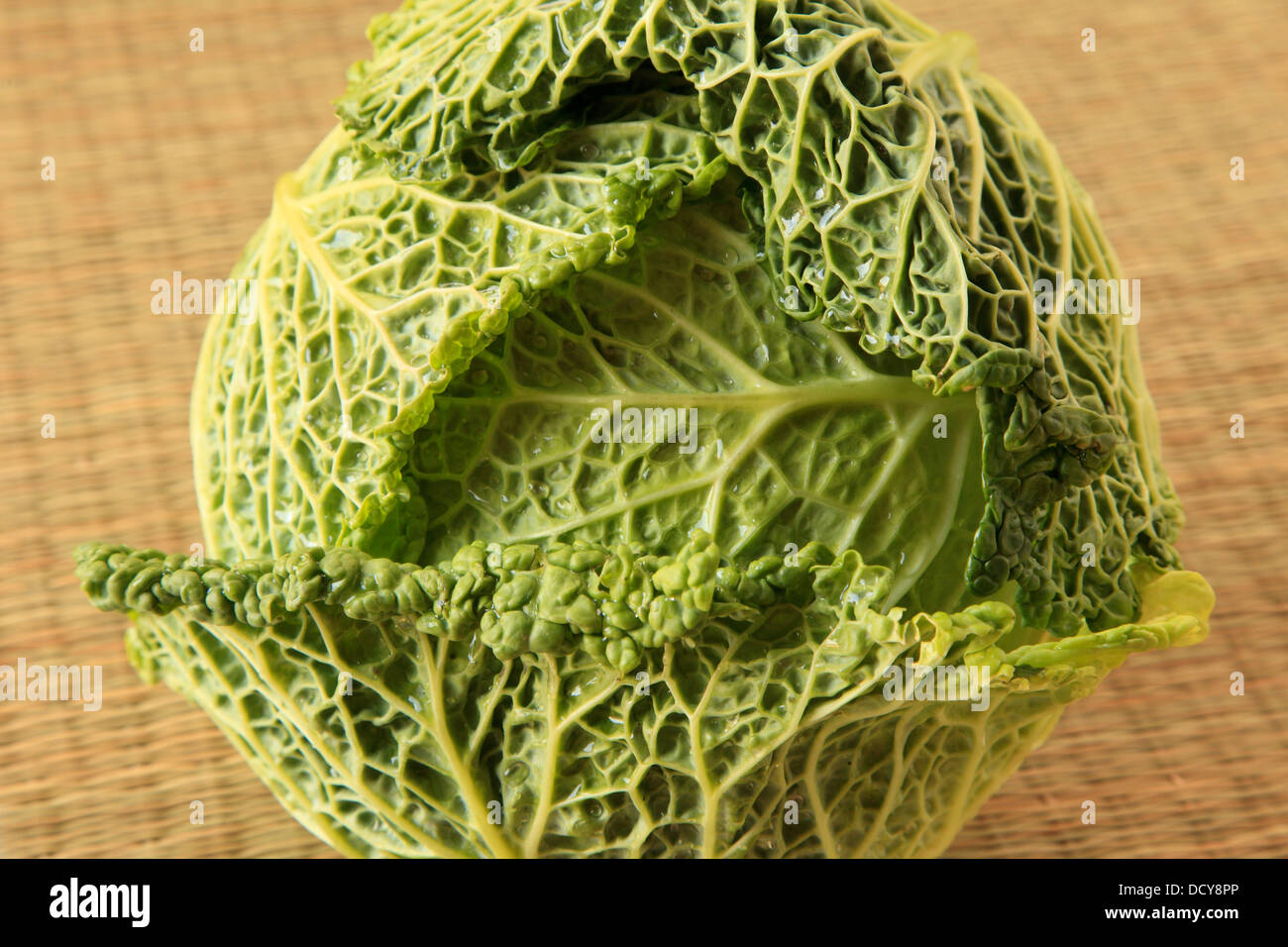 Cabbage horizontal hi-res stock photography and images - Alamy