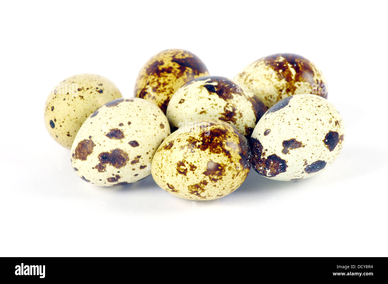 Texture quails eggs hi-res stock photography and images - Alamy