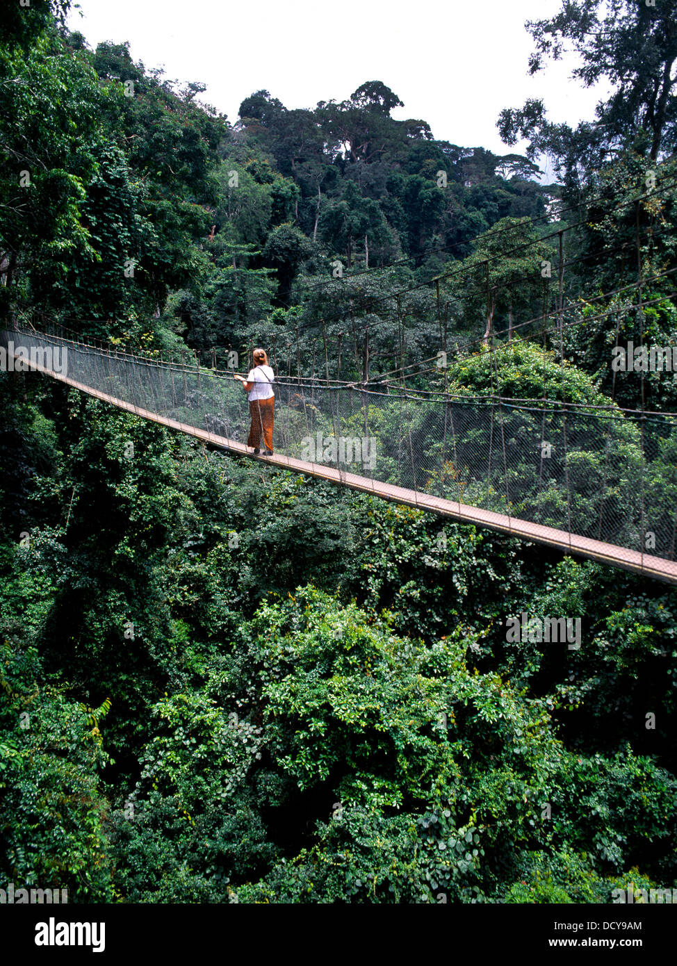 Kakum National Park Canopy Walk