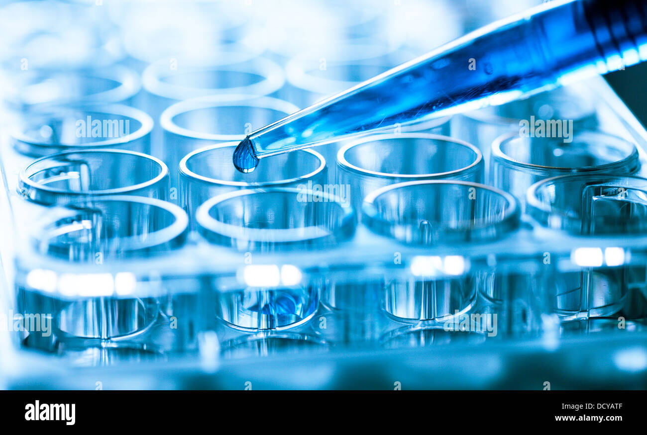 microbiological pipette in the genetic laboratory Stock Photo - Alamy