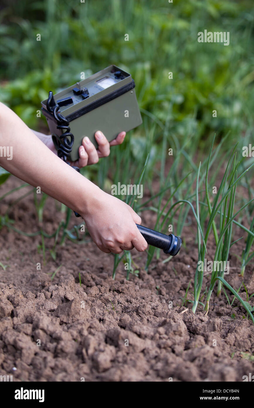 measuring radiation levels of onions Stock Photo - Alamy