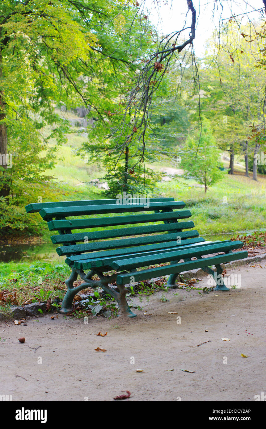 Long straight path through wood hi-res stock photography and images - Alamy