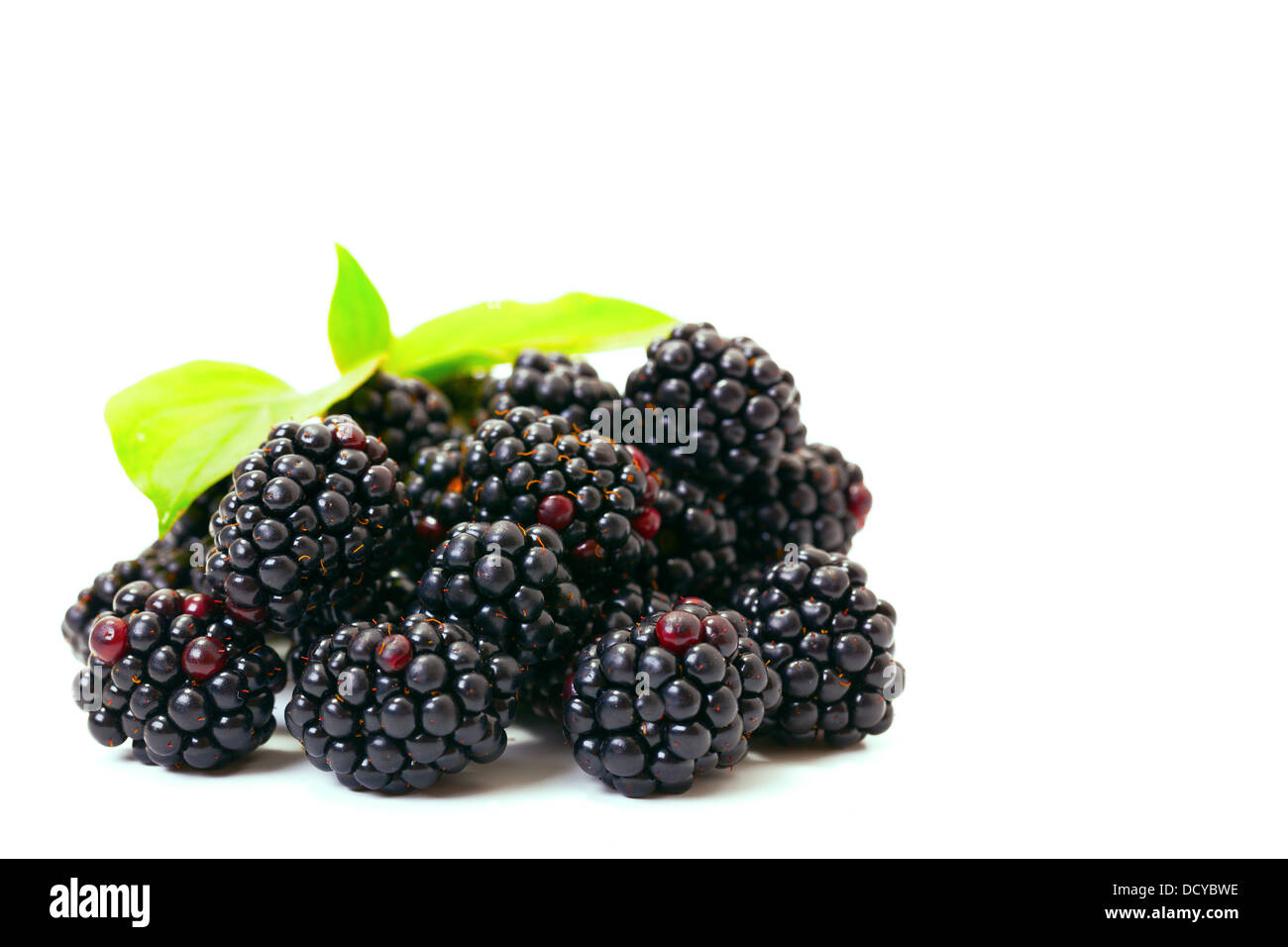 blackberries on a white background Stock Photo - Alamy