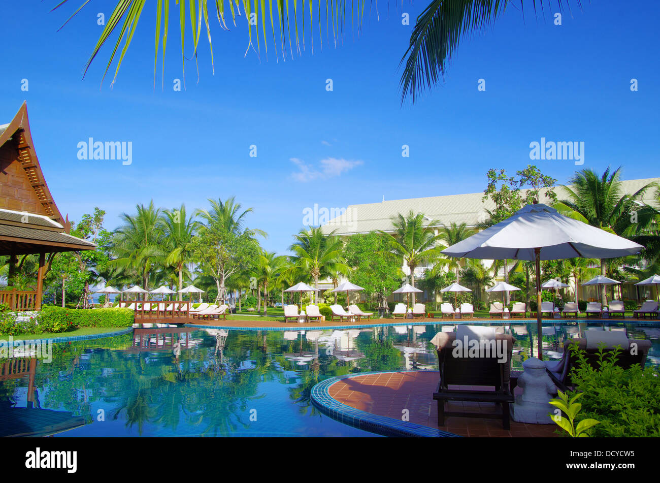 tropical swimming pool Stock Photo - Alamy