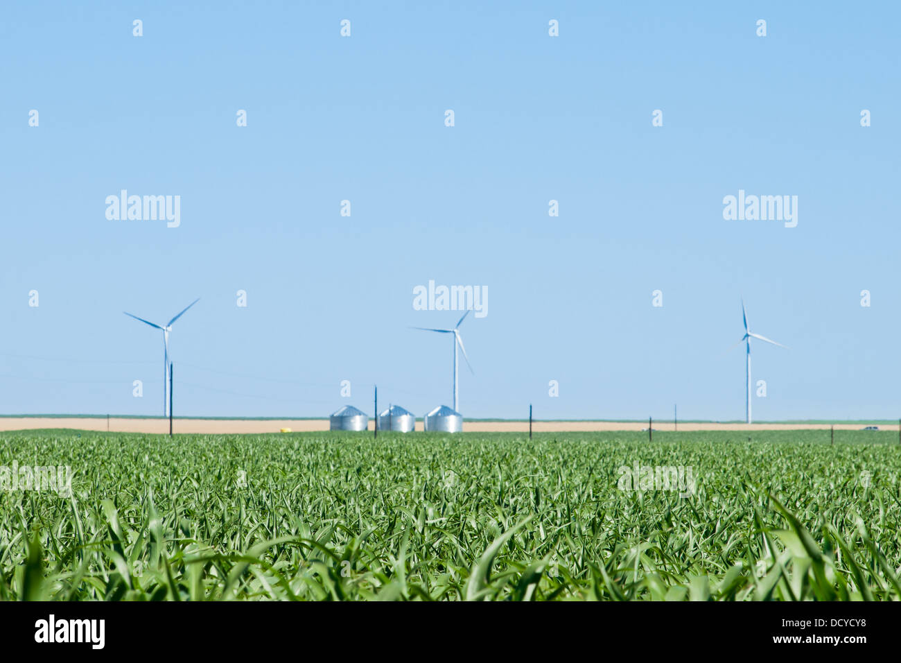 Wind turbines farm in Eastern Colorado Stock Photo - Alamy