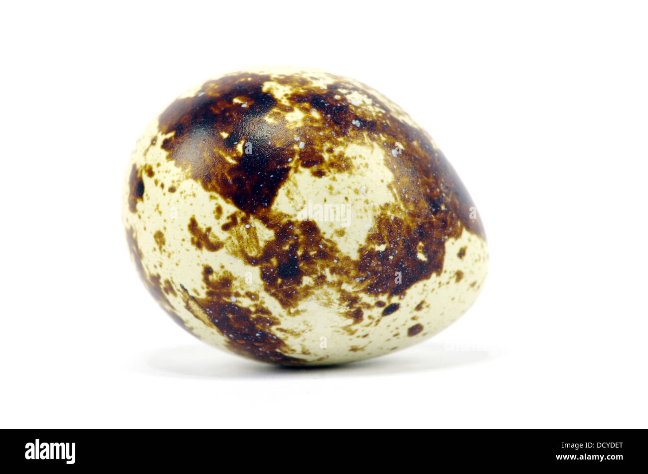 Texture quails eggs hi-res stock photography and images - Alamy