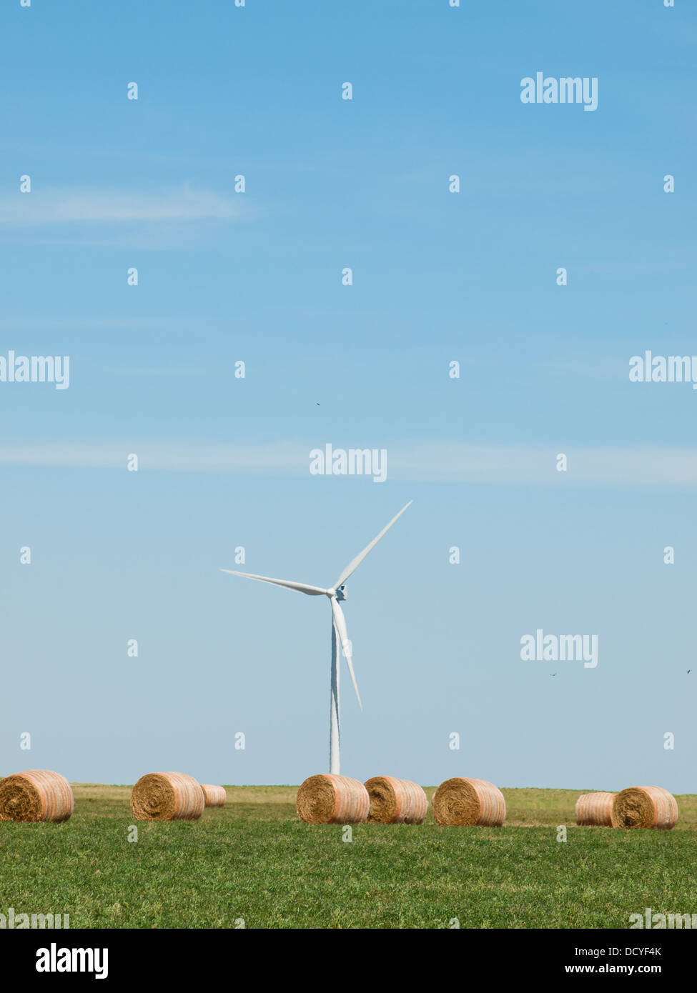 Wind turbines farm in Eastern Colorado Stock Photo - Alamy