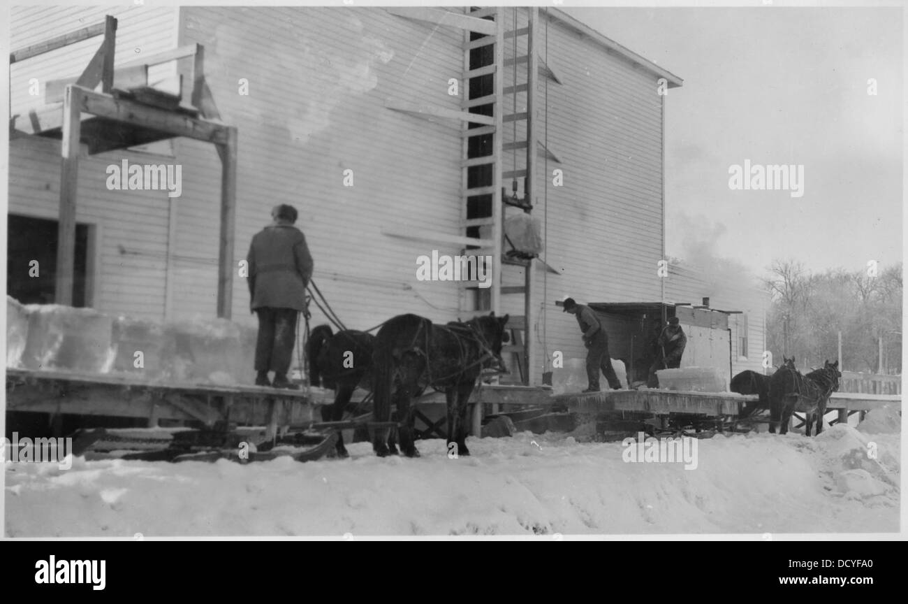 A worker operates a lift to hoist blocks of ice into an ice house, a ...