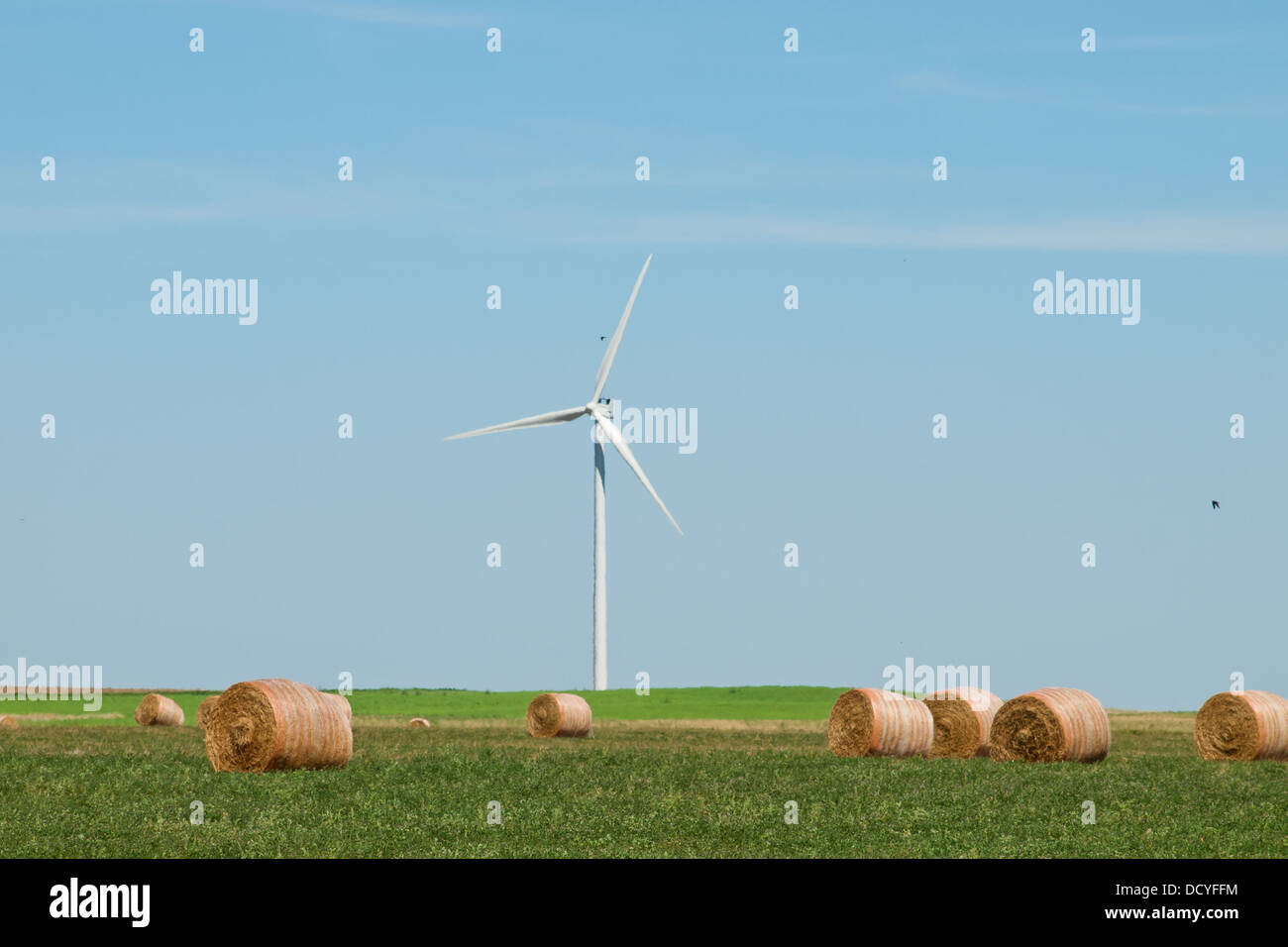 Wind turbines farm in Eastern Colorado Stock Photo - Alamy