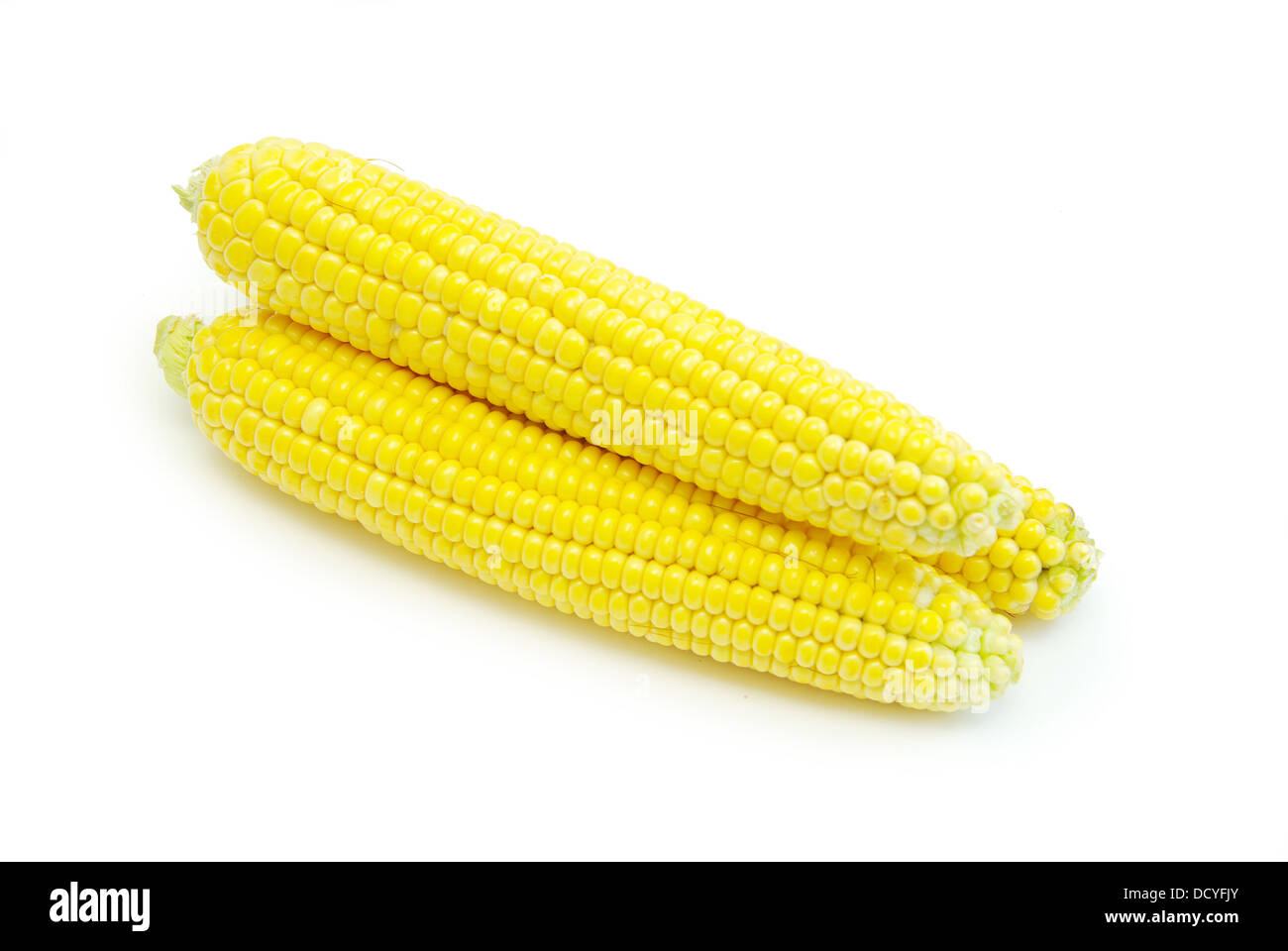 Maize farm Cut Out Stock Images & Pictures - Alamy