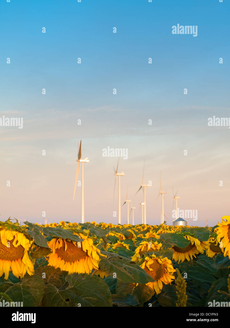 Wind turbine over rocky hi-res stock photography and images - Alamy