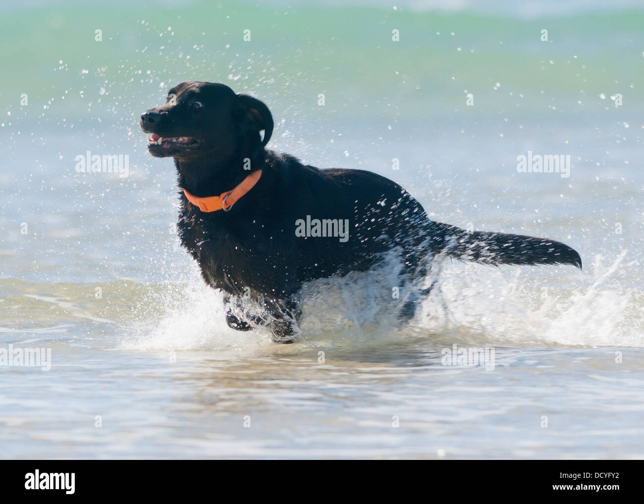 Da tarifa hi-res stock photography and images - Alamy