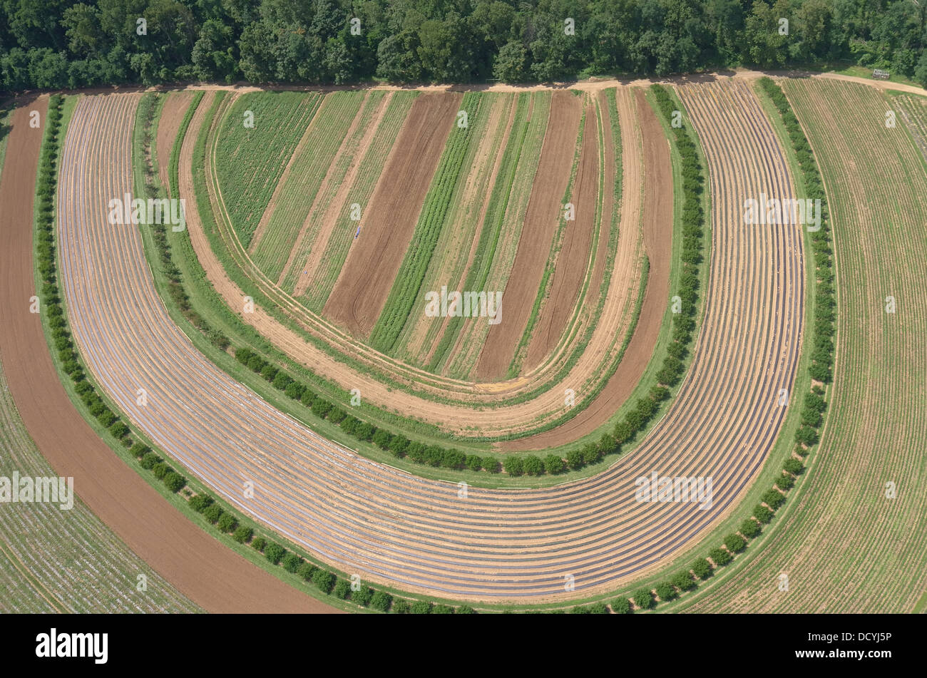 Aerial view of farm with crops growing in rainbow pattern Stock Photo ...