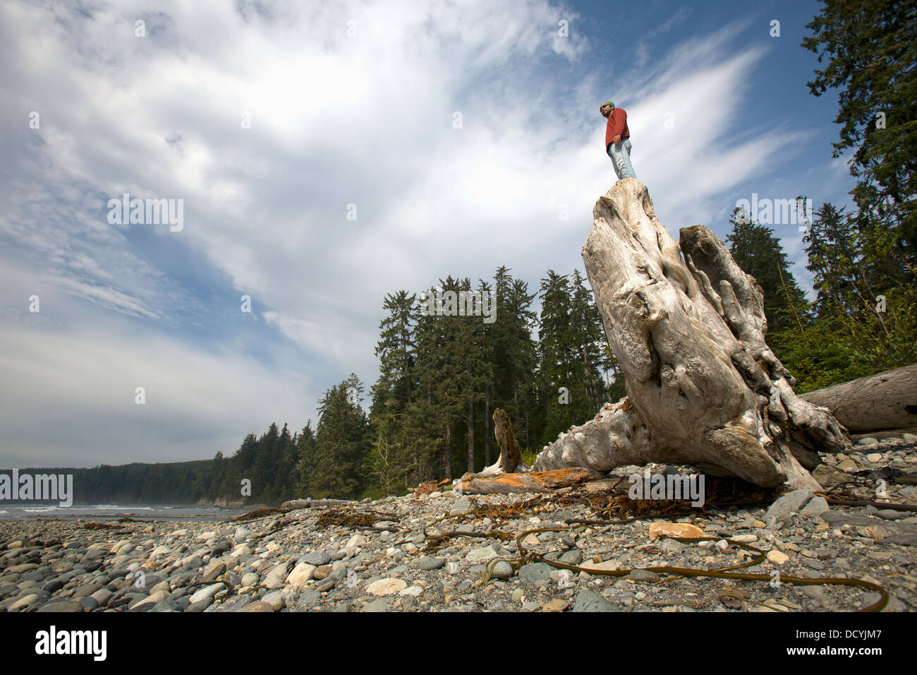 A Man Stands On A Large Drift Log; Sombrio Beach, Vancouver Island ...