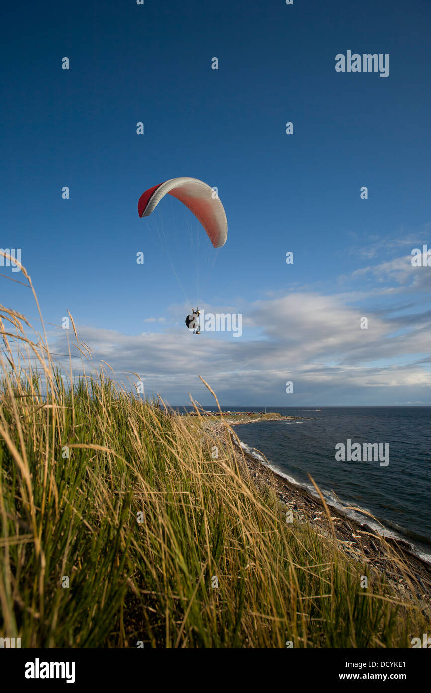 A Man Paragliding Along The Cliffs At Dallas Road; Victoria, Vancouver ...