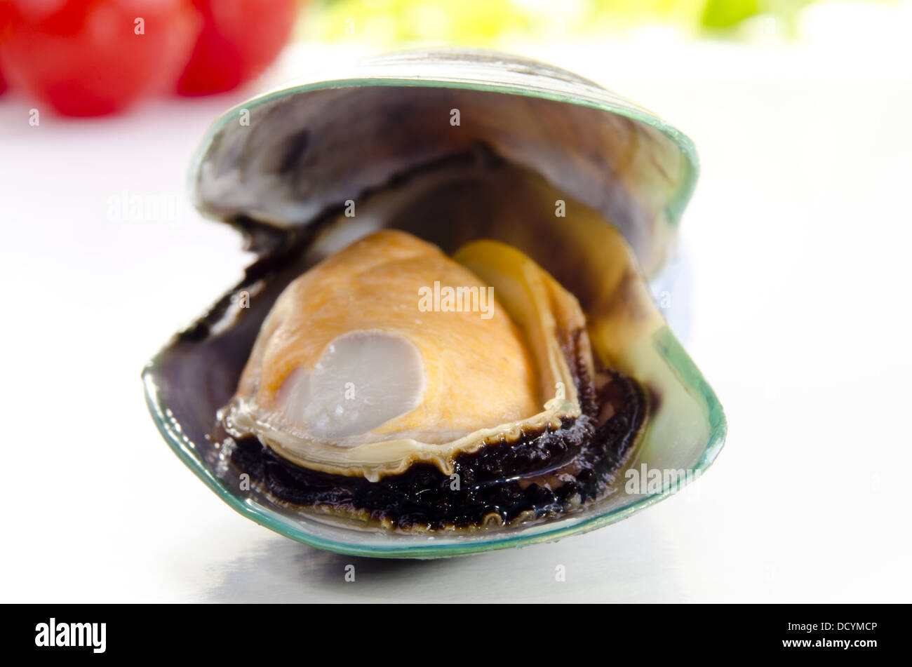 one open green lipped mussel Stock Photo - Alamy