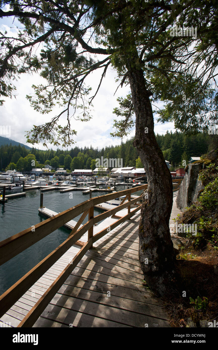 Docks And Marina; Telegraph Cove, Vancouver Island, British Columbia ...