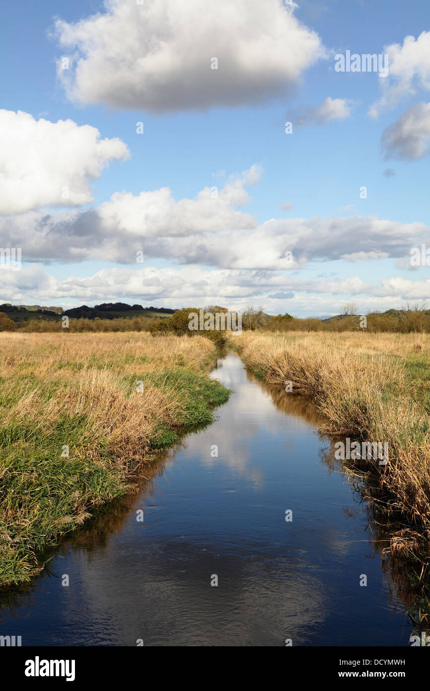 Uk wetland ecosystem hi-res stock photography and images - Alamy