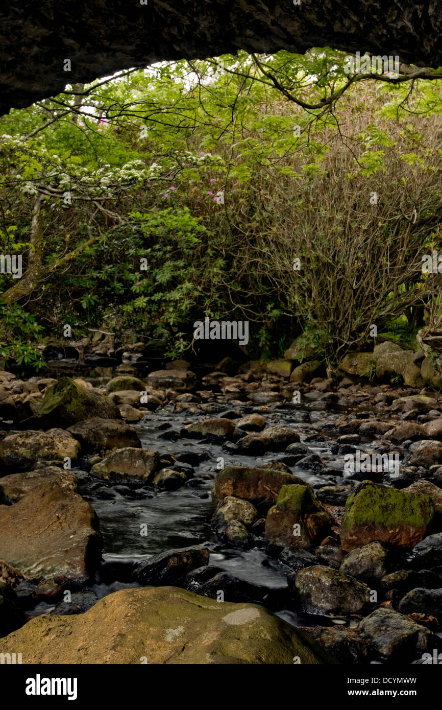 Stream flowing under bridge hi-res stock photography and images - Alamy