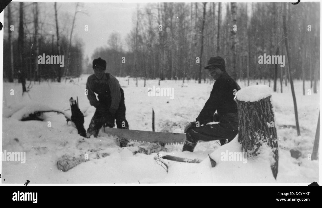 Men are shown using a crosscut saw to cut logs in snowy conditions ...