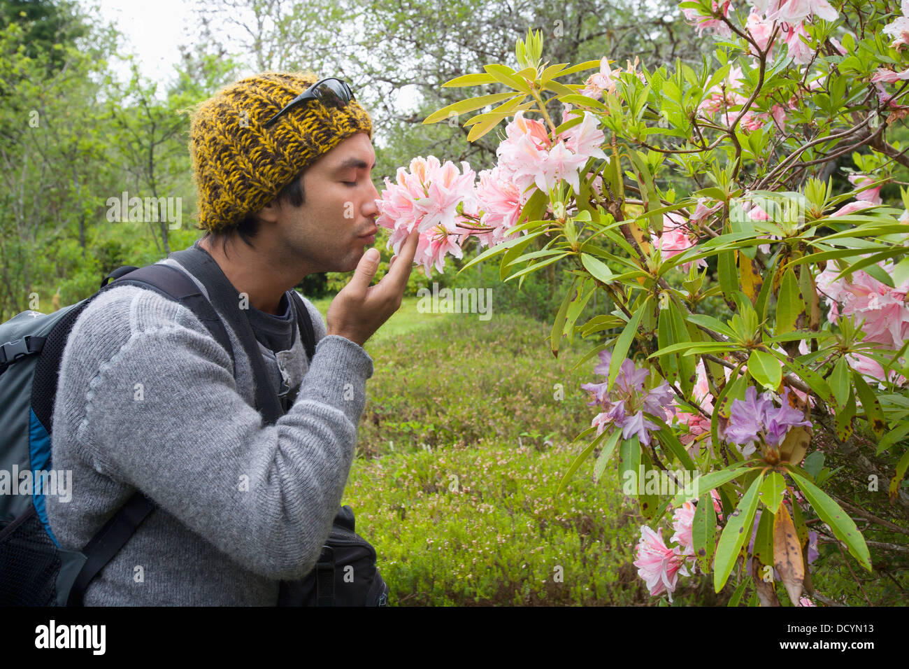 Man sniffing a flower hi-res stock photography and images - Alamy