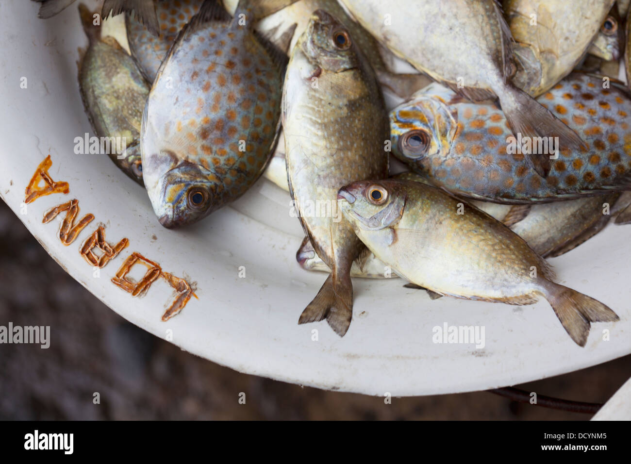 Fresh Fish At Fish Market; Bais, Negros Island, Philippines Stock Photo ...