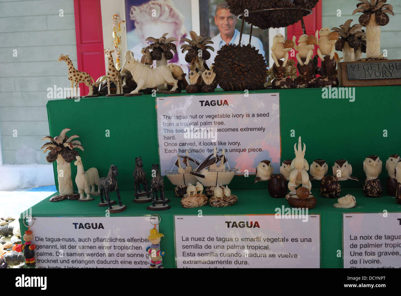 Animals made from vegetable ivory (seed from tropical palm tree ...