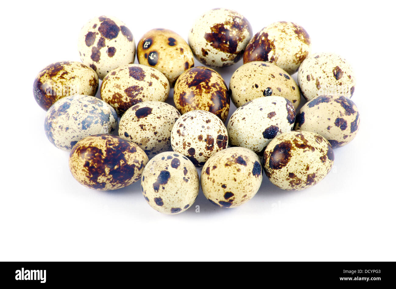 Texture quails eggs hi-res stock photography and images - Alamy