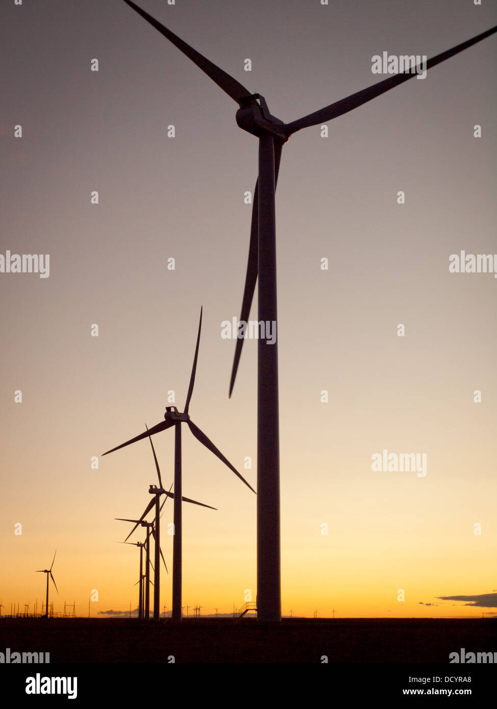 Wind turbines farm at sunset in Limon, Colorado Stock Photo - Alamy