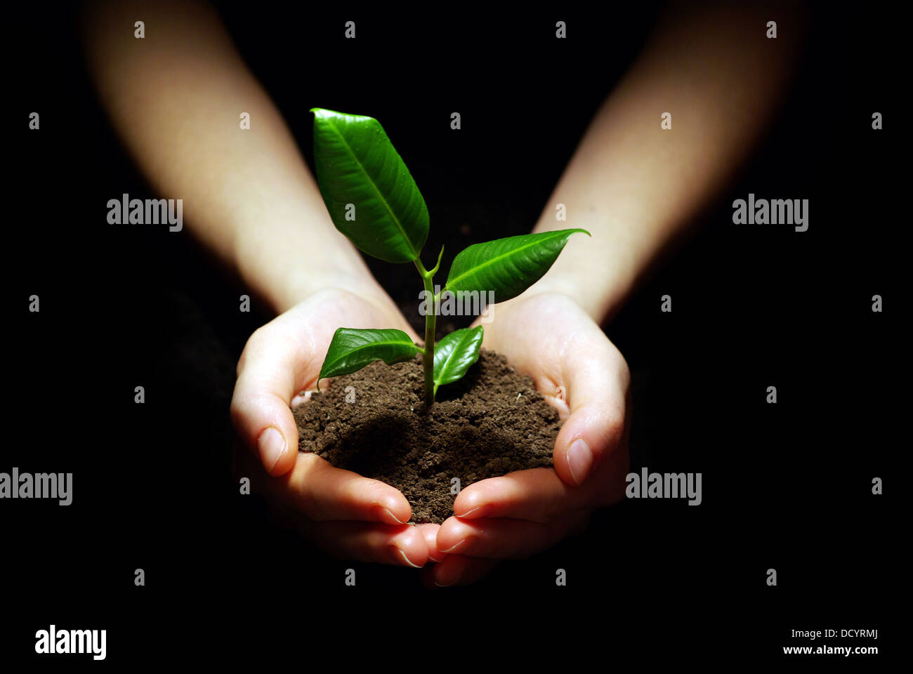 Fertile sand soil hi-res stock photography and images - Alamy