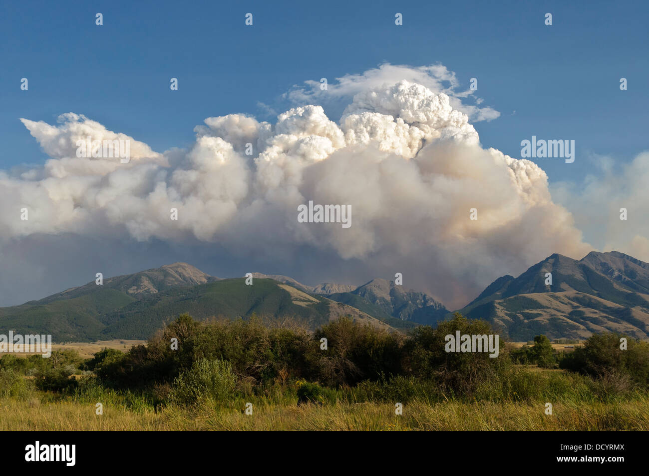Emigrant Fire fire storm forest fire burns on Emigrant Peak in Paradise ...