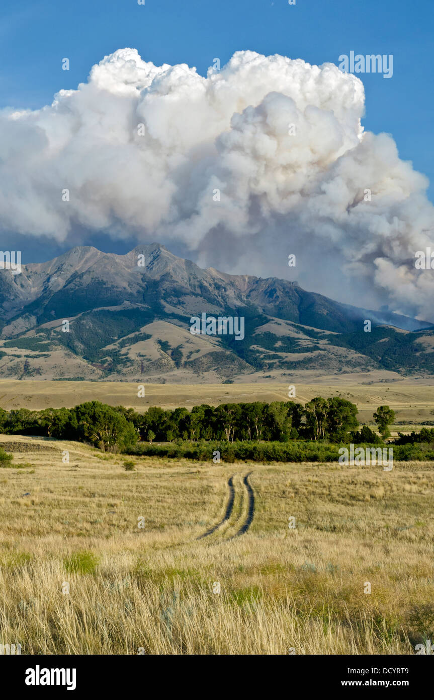 The Emigrant Fire forest fire burns on Emigrant Peak above the Paradise ...