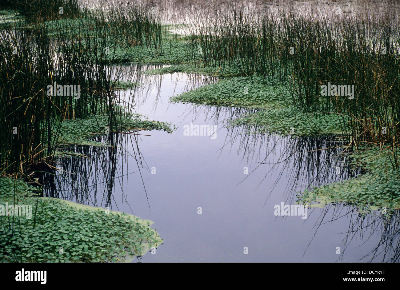 One of the highlights of the Creole Nature Trail is Sabine National ...