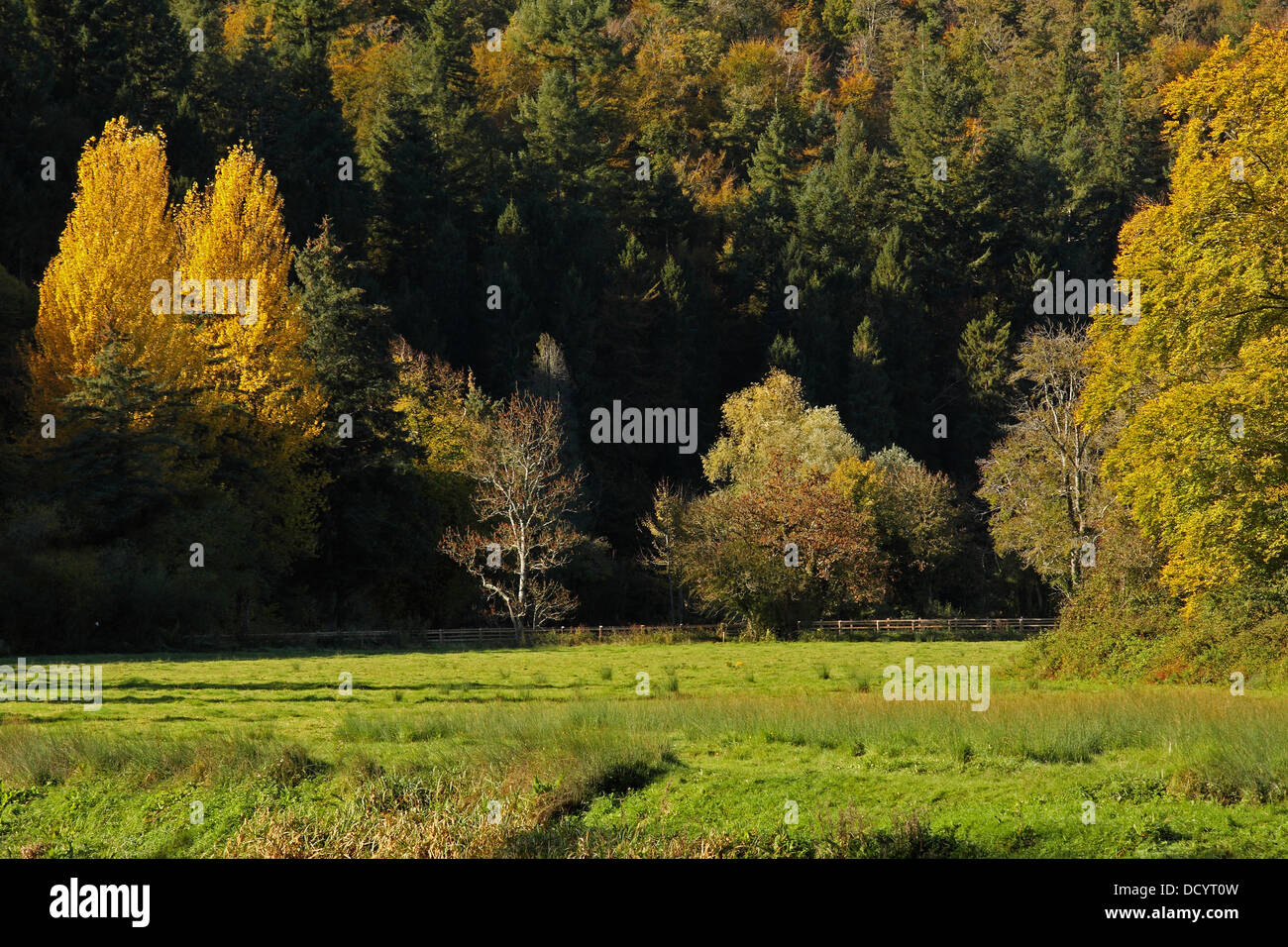 Rural Scene In The Nore River Valley; Inistioge, County Kilkenny ...