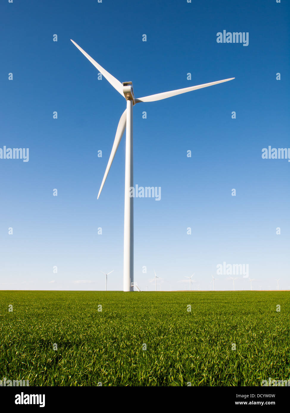 Wind turbines farm in Limon, Colorado Stock Photo - Alamy