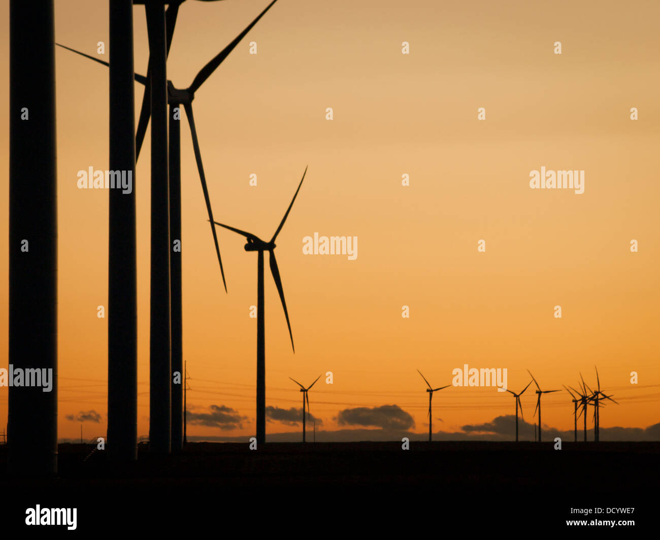 Wind turbines farm at sunset in Limon, Colorado Stock Photo - Alamy
