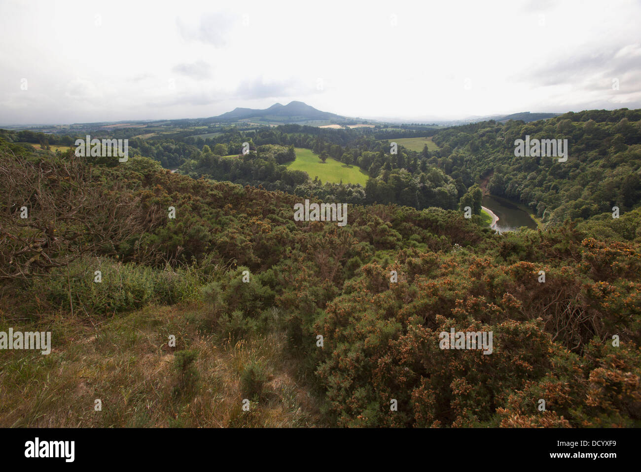 Sir Walter Scott's View; Scotland Stock Photo - Alamy
