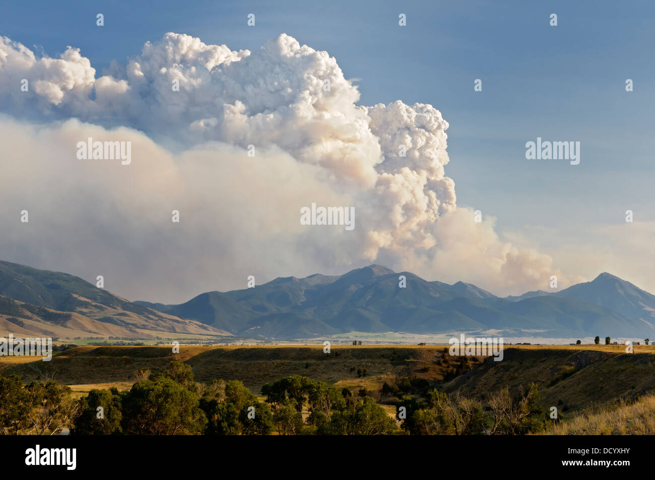 Fire smoke plume hi-res stock photography and images - Alamy
