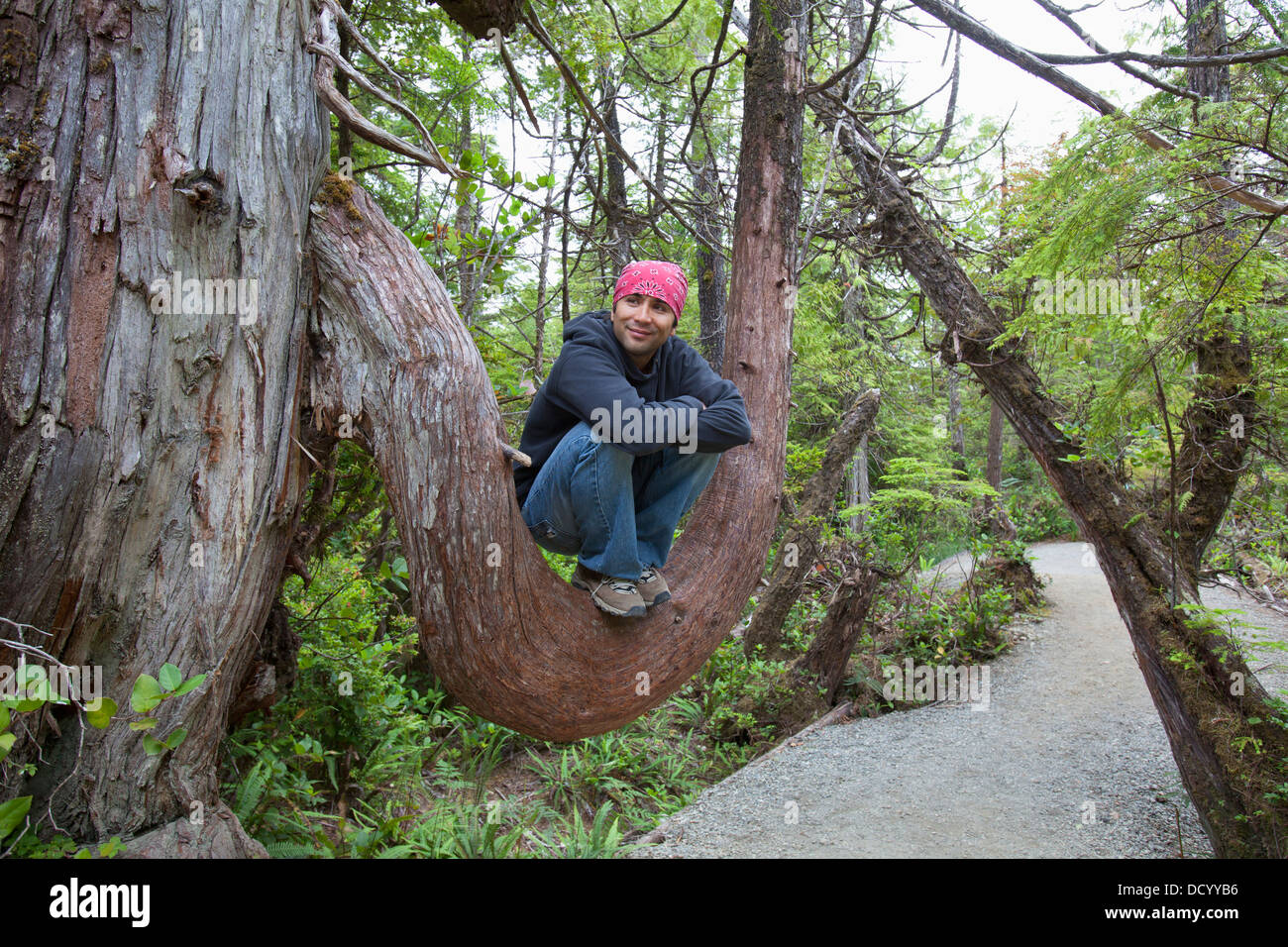 Crook of branches hi-res stock photography and images - Alamy