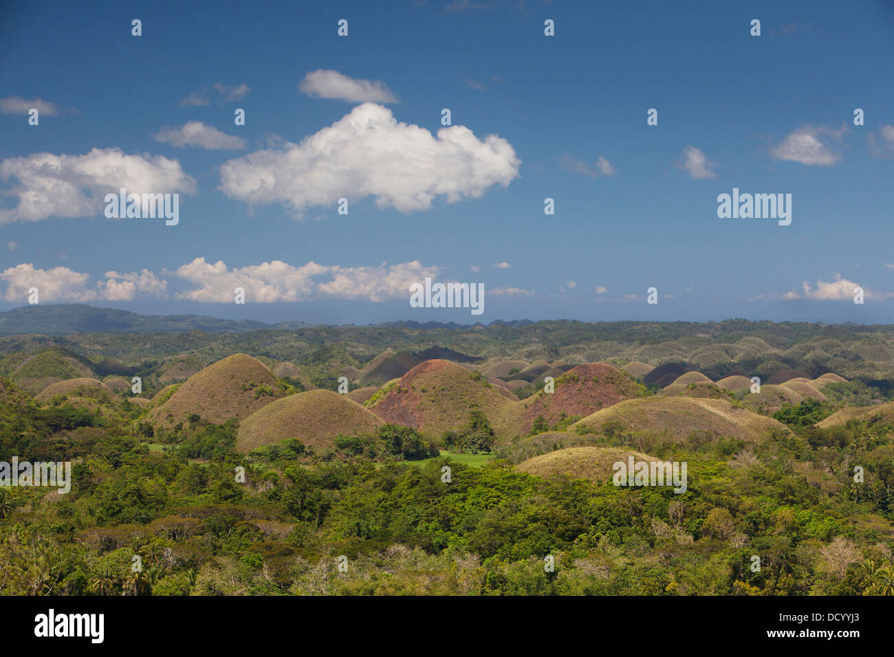 The Tourist Destination Of The Chocolate Hills; Island Of Bohol ...