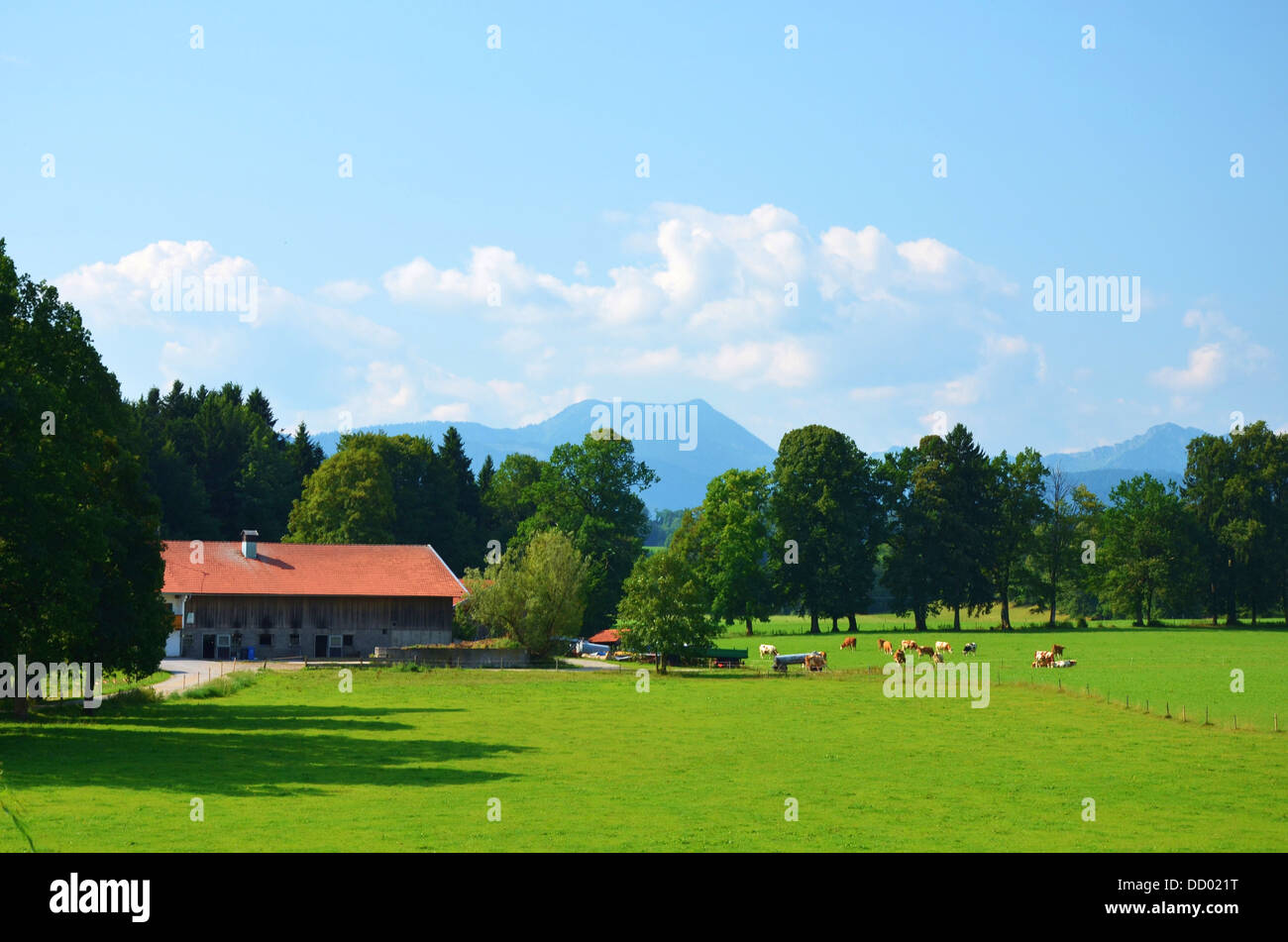 Bavaria scenery farm with cows Hirschberg sunny day Bavarian landscape ...