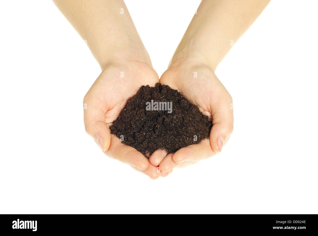 earth in hands Stock Photo - Alamy