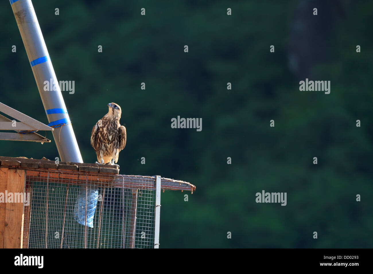 Hack boxes hi-res stock photography and images - Alamy