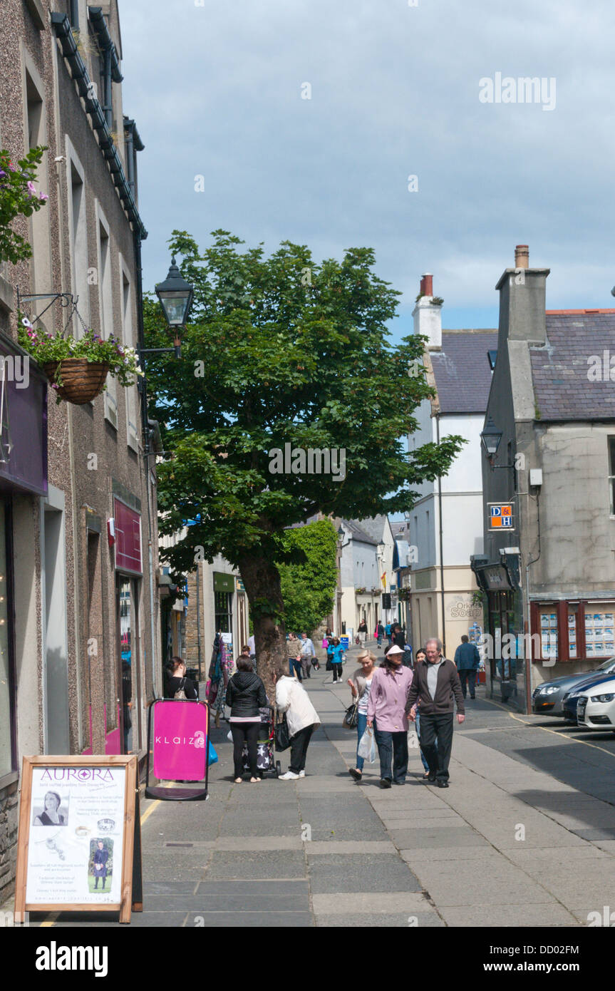 The Big Tree in Albert Street, the main shopping street in Kirkwall ...