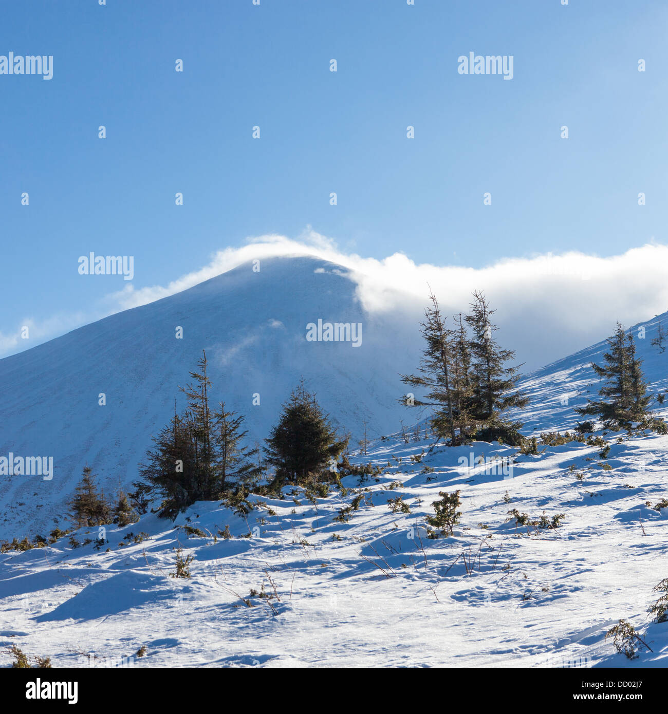Hoverla. The highest mountain of Ukraine. 2061 m Stock Photo - Alamy