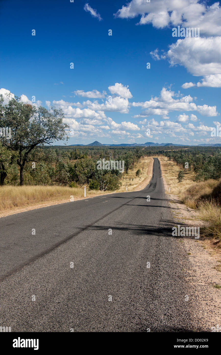 Outback / bush / country road with eucalyptus trees either side and ...