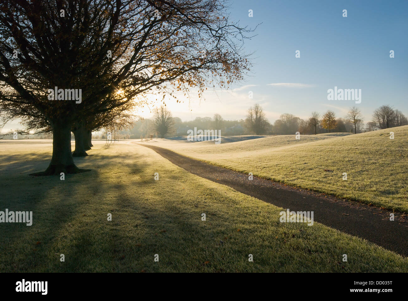 Mount Juliet Golf Course Covered In Frost; Thomastown, Kilkenny ...